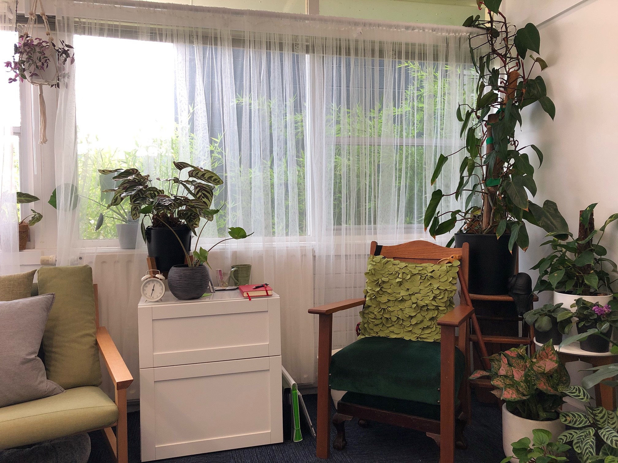 Inside 12 Therapy Rooms