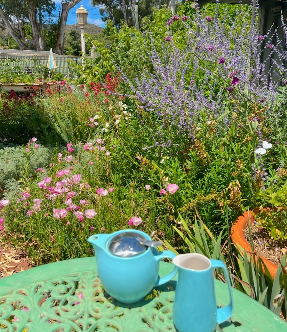 Inside 12 Therapy Rooms